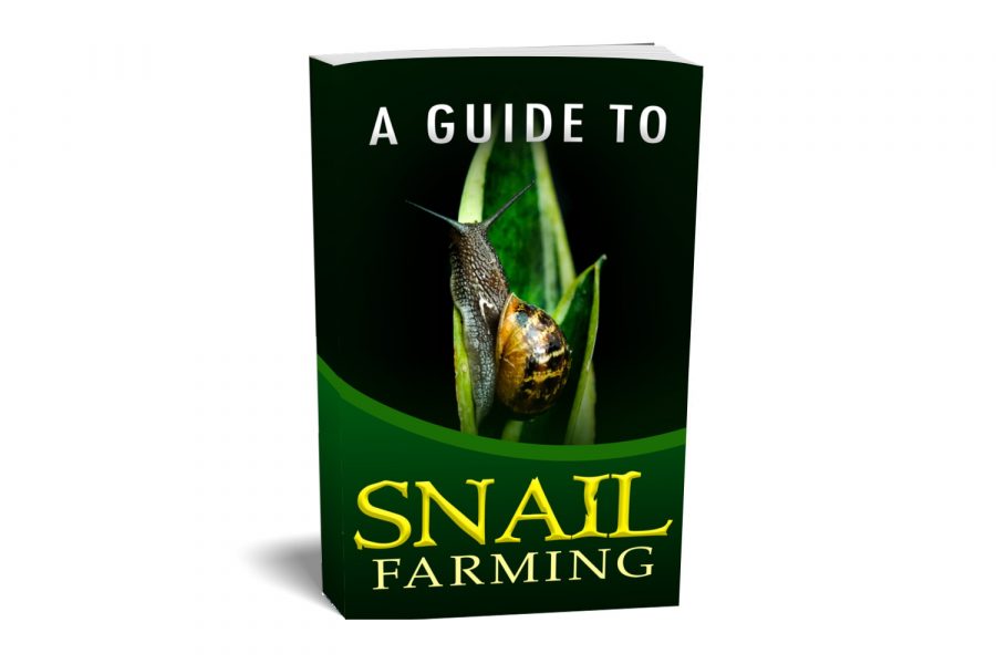 Snail Farming Guide - Escargot World