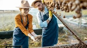 Escargot World - Answers All Your Snails Questions!