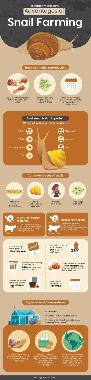 Snail Farming Ultimate Guide: Created By Experienced Snail Farmers