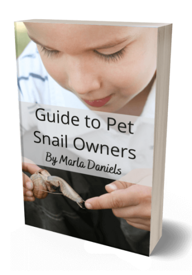 Snail Farming Ultimate Guide: Created By Experienced Snail Farmers
