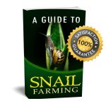 Snails Anatomy - The Fascinating Body of Mollusks (2025 Updated)